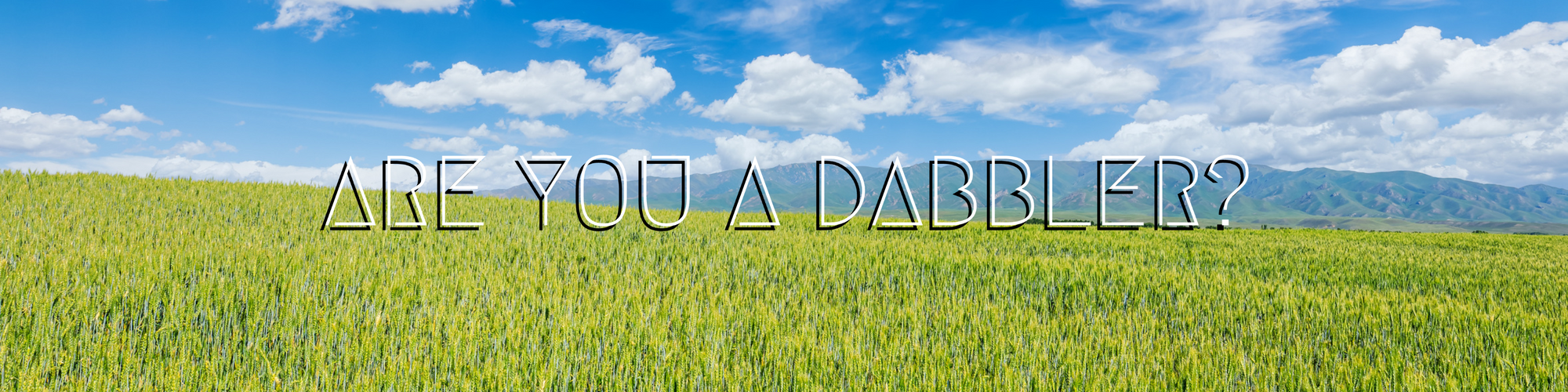 Are You A Dabbler? - Nancy Jackson Author