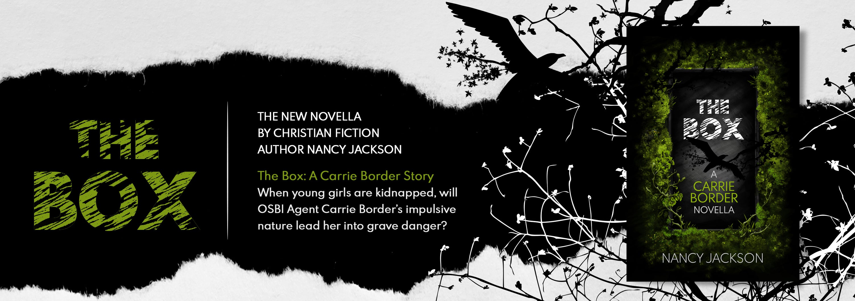 Nancy Jackson Author